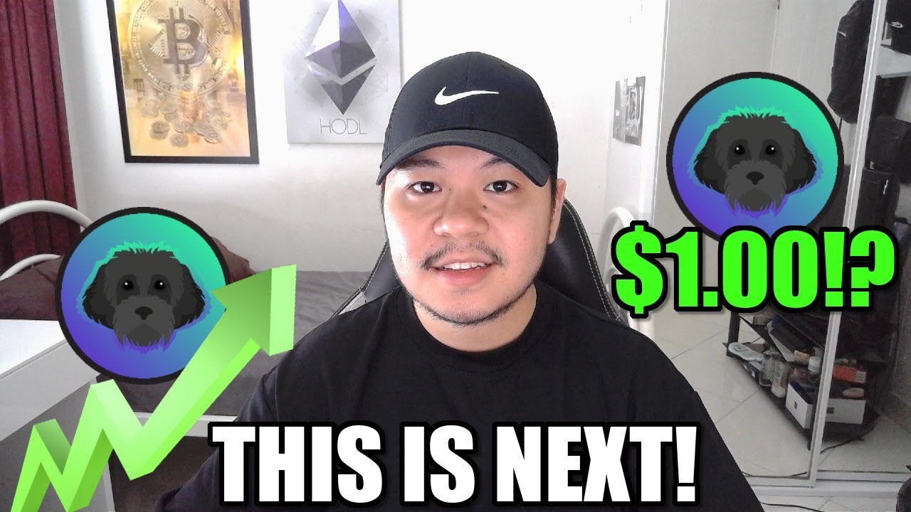 Myro Meme Coin Is Ready To Pump To $1! Should You Buy Now? - YouTube