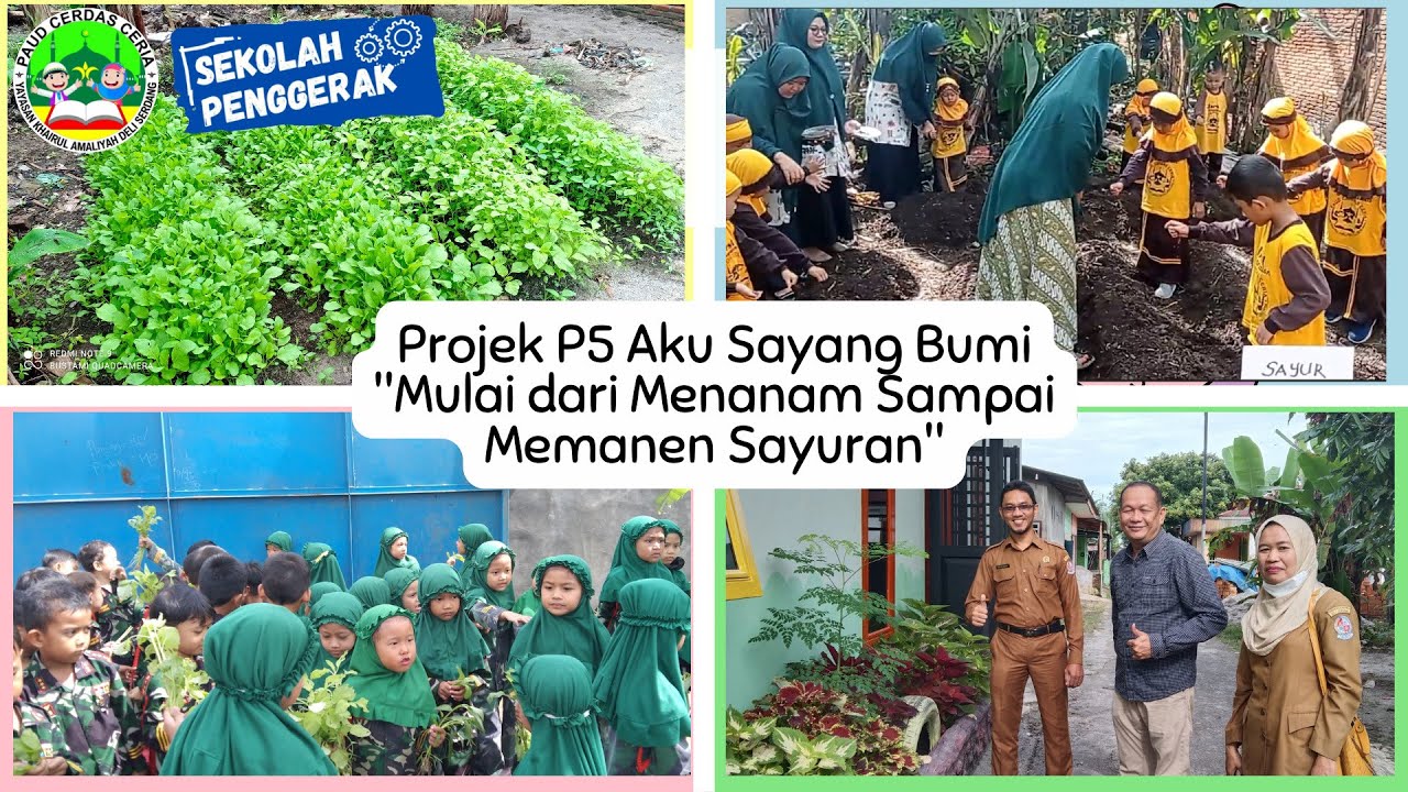 PROJEK P5 AKU SAYANG BUMI, "MENANAM SAMPAI MEMANEN SAYUR BAYAM, SAWI ...