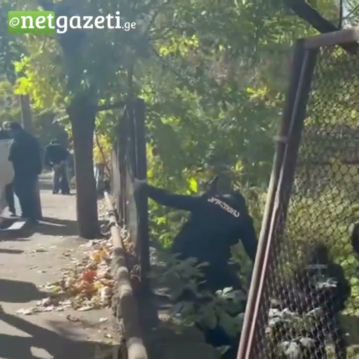 პოლიციელებმა სააპელაციო სასამართლოს ეზოს ღობის ნაწილი მოხსნეს და