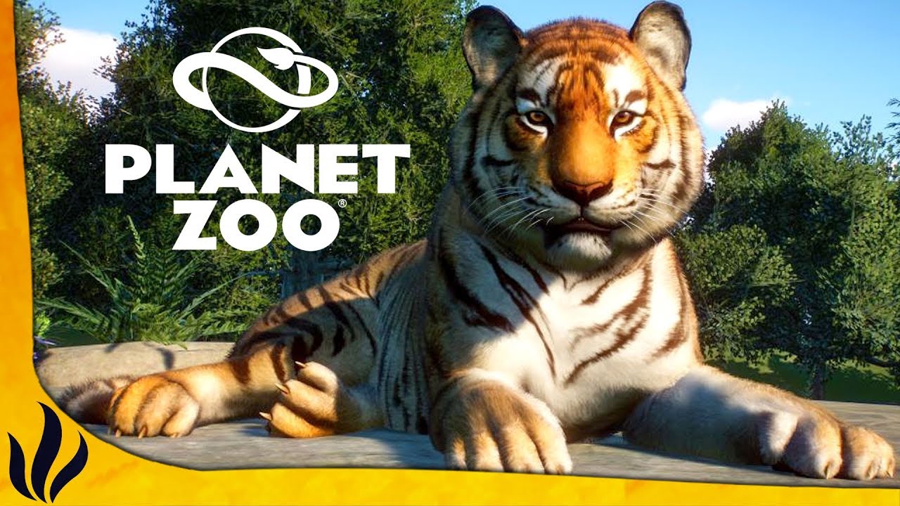 MON ZOO EST MAGNIFIQUE ! (Planet Zoo) - YouTube