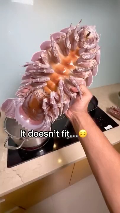 Cooking World’s Strangest Seafood - YouTube