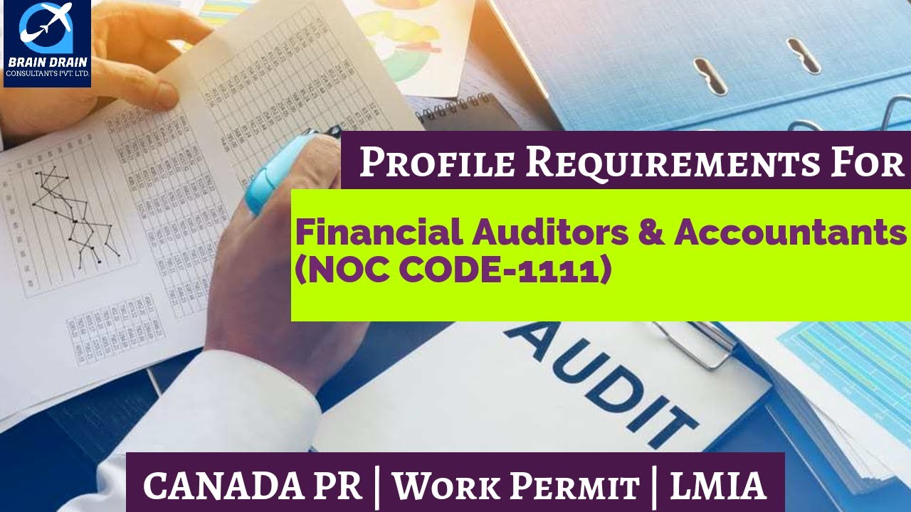 Financial Auditors Profile Description For Canada Work Permit LMIA Financial Auditors Profile Description For Canada Work Permit LMIA