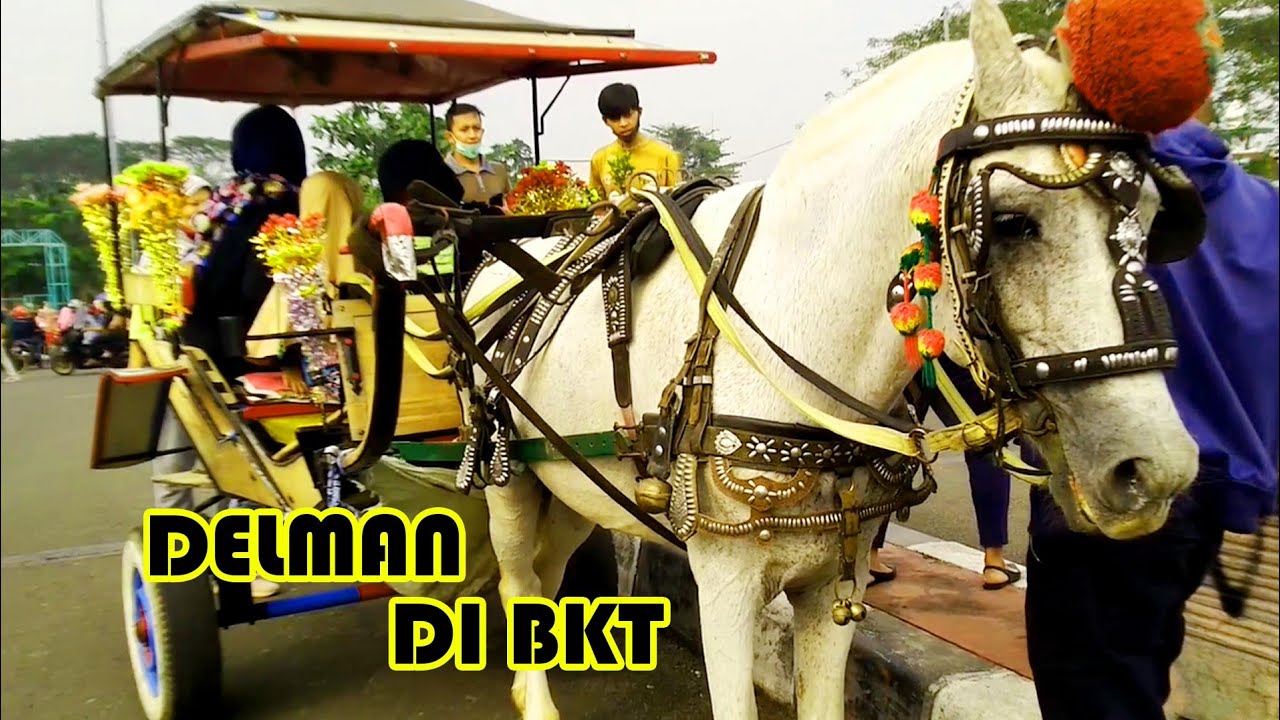 KUDA DELMAN 🌈 NAIK DELMAN DI BKT | LAGU | HORSE - YouTube