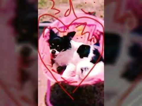 Making slime or runaway - YouTube