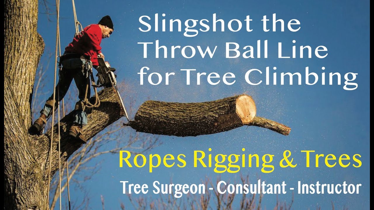 Throw Ball Slingshot Technique for Tree Climbing #3 - YouTube