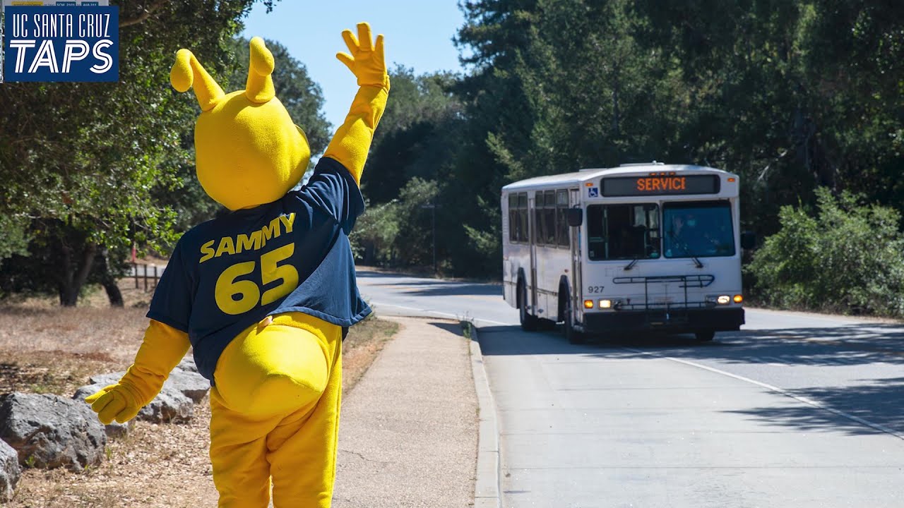 UCSC TAPS Orientation - YouTube