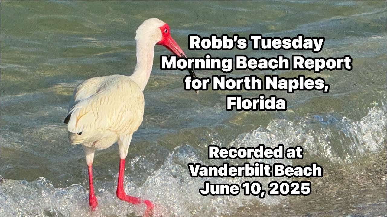 Robb’s Tuesday Morning Beach Report for North Naples, Florida | June 10 ...