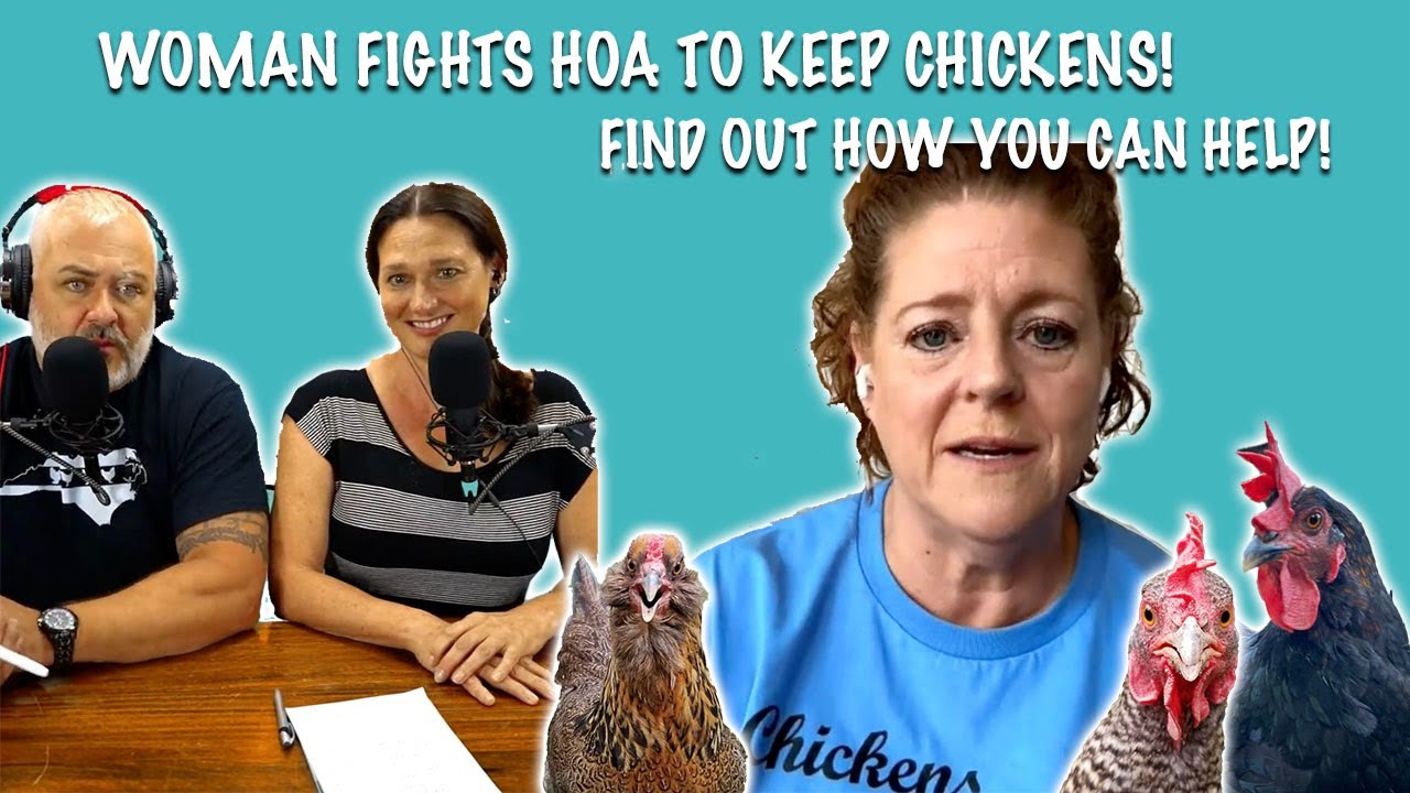 Video Chicken Live:: Woman Fights HOA to Keep Chickens & How You Can ...