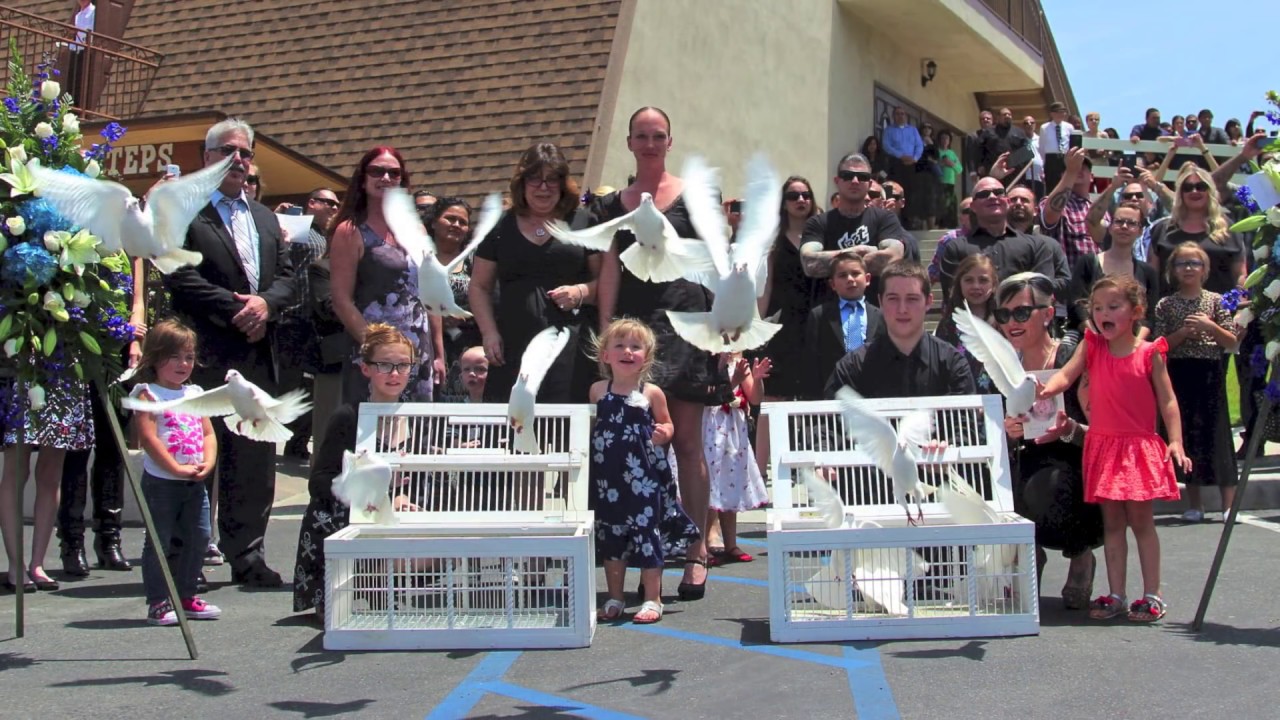 Punk Rock Memorial Service Dove Release 971 703-4918 - YouTube