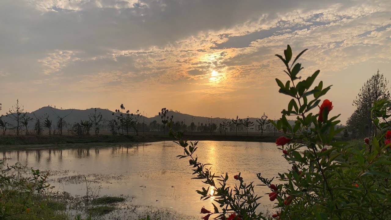 Fish/Nga Farm || Stunning Evening Sight || Lifestyle in Manipur - YouTube