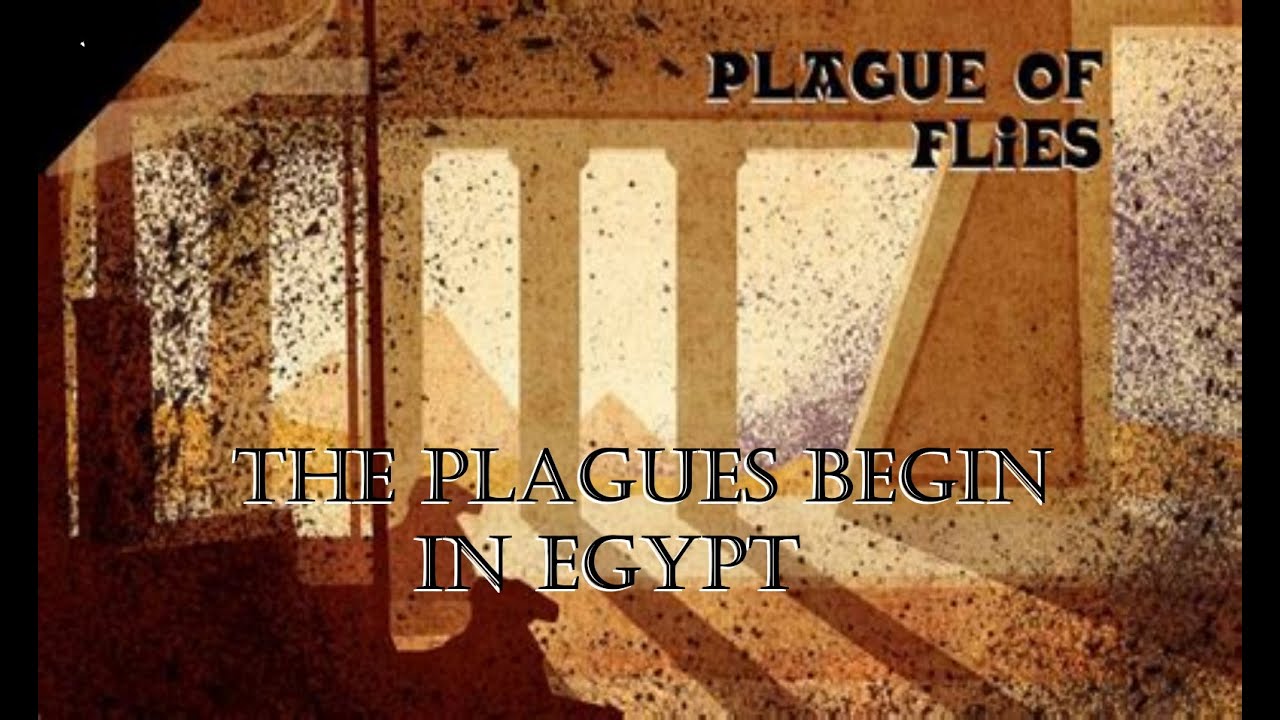 The Plagues Start in Egypt (Mitsrayim) | Shemoth (Exodus) 5-8 - YouTube