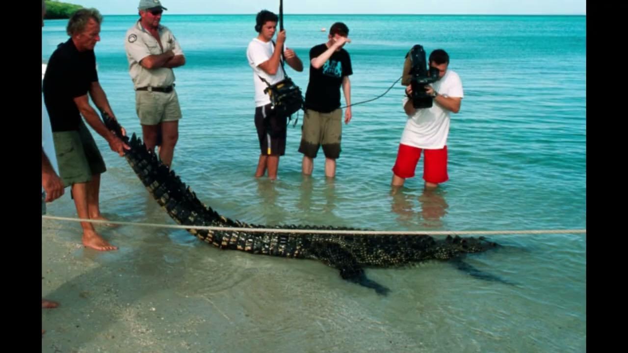 Saltwater Crocodile attack survivor. - YouTube