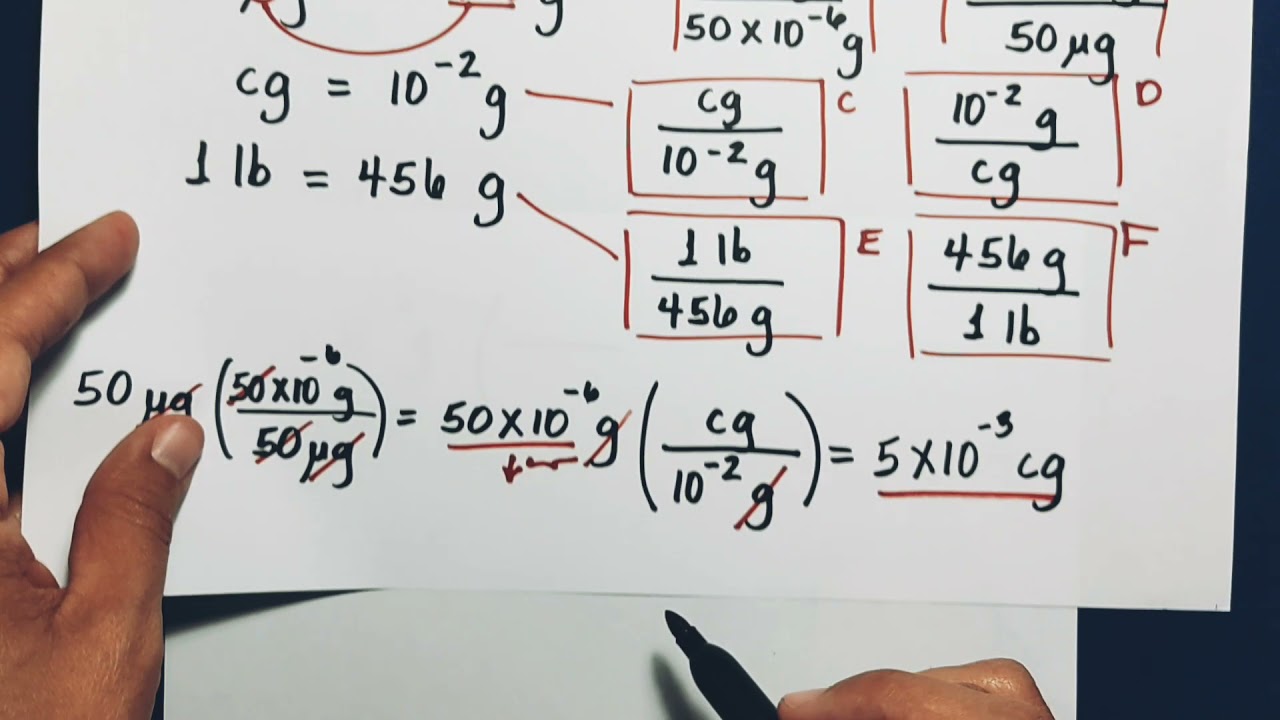 Ejercicios De Multiplos Y Submultiplos - MXEDUSA Ejercicios De Multiplos Y Submultiplos - MXEDUSA