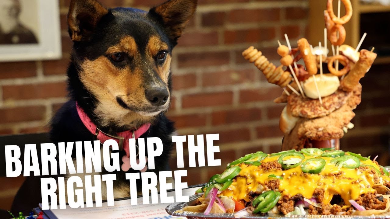 Barking Up The Right Tree At Buford's Pub! - YouTube