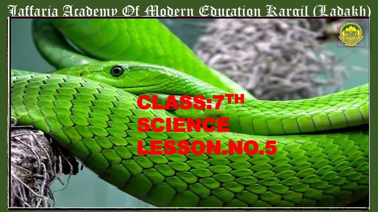Class 7th Science Lesson no 5 - YouTube