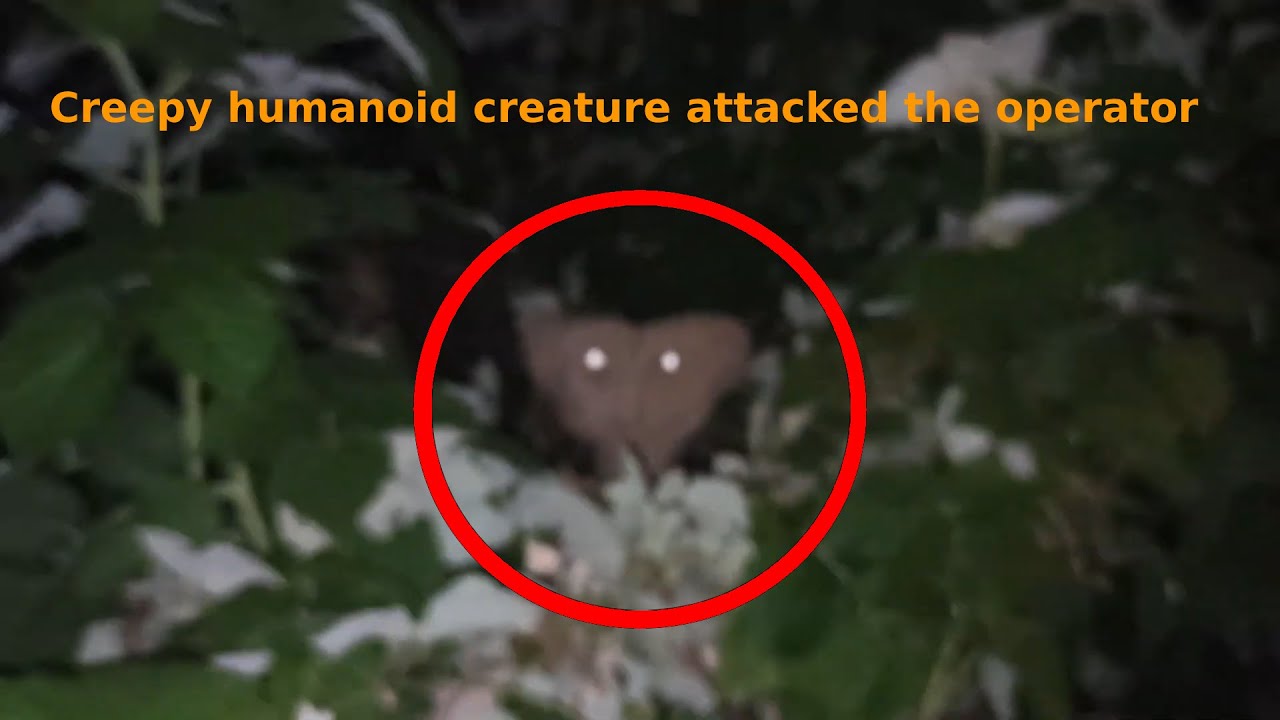 Mutant humanoid creature attacked the operator in the forest - YouTube