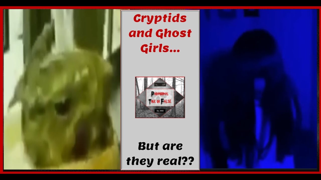 12 SCARY Clips about CRYPTIDS and GHOST GIRLS, but are they REAL??? PTF ...