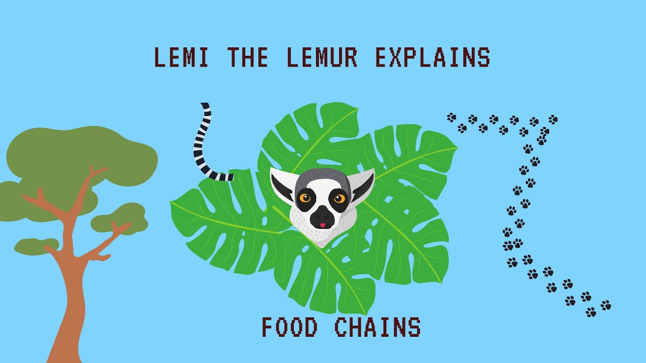 Lemi the Lemur Ep1. Food Chains - YouTube