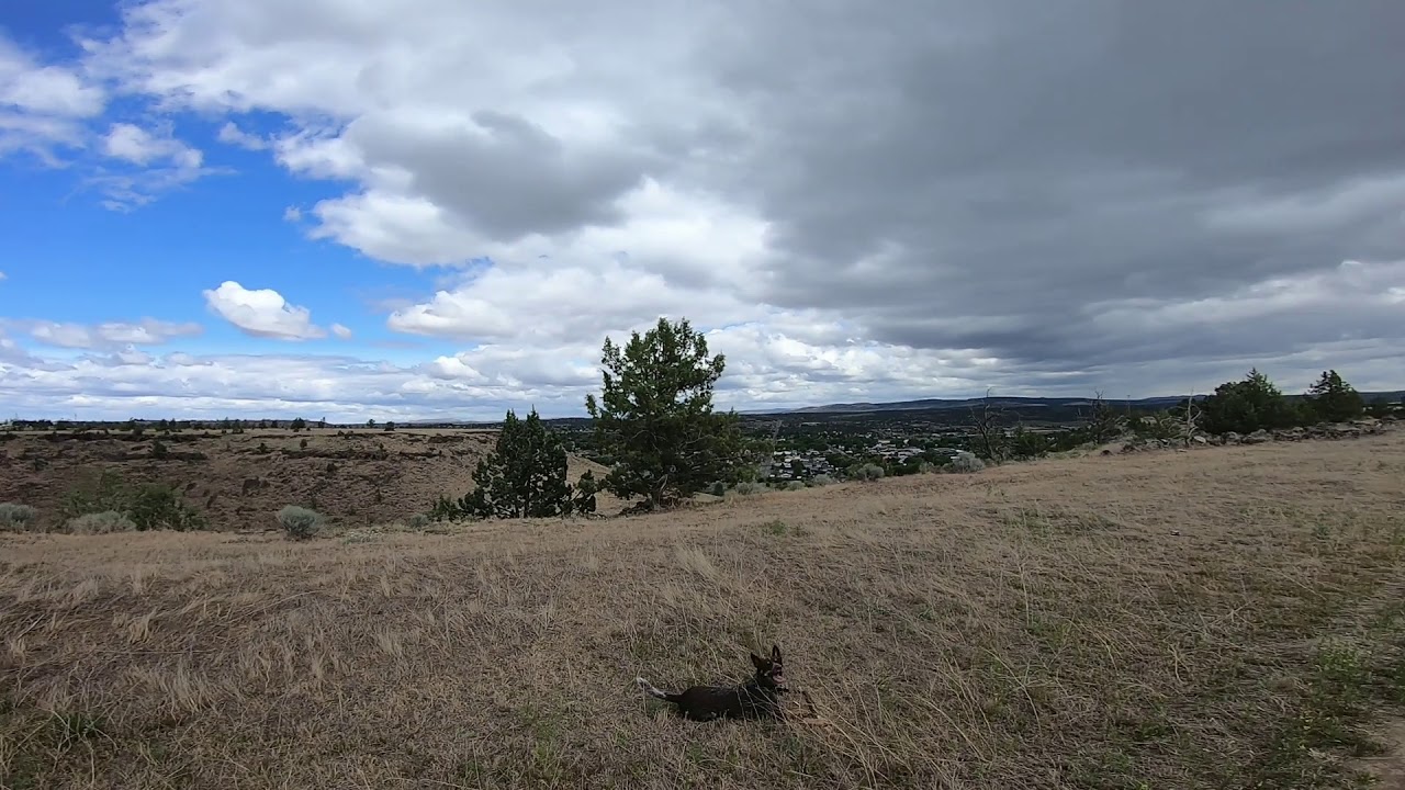 Train Tracks Hike with Neff Madras Oregon 06-07-2020 - YouTube