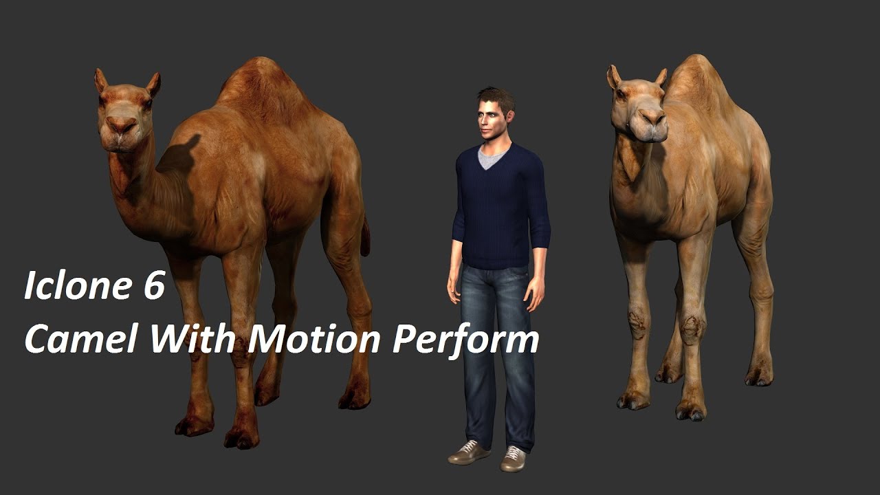 Iclone 6 iprops-avatar Camel with Motion Perform pack - YouTube