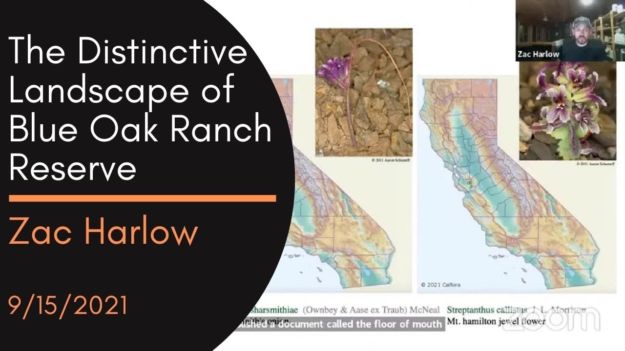 The Distinctive Landscape of Blue Oak Ranch Reserve, a talk by Zac ...