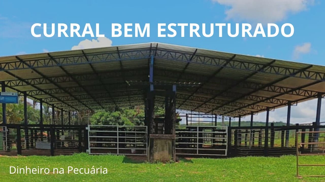 Curral de fácil manejo para bovinos / Dinheiro na Pecuária - YouTube