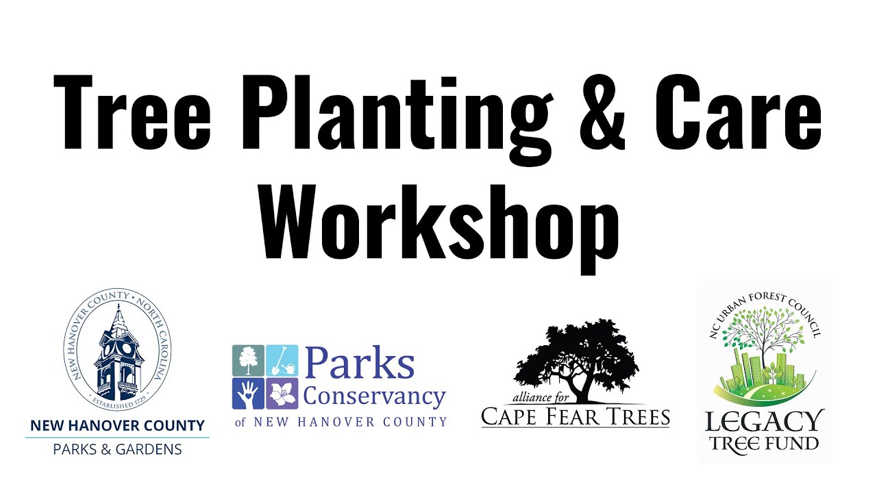 Tree Planting and Care Workshop - YouTube