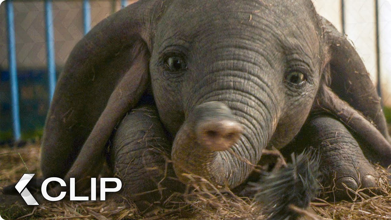 Dumbo Blows A Feather Movie Clip - Dumbo (2019) - YouTube