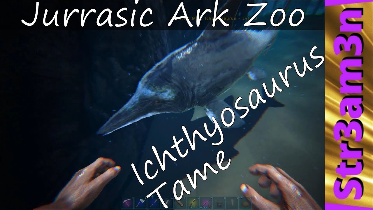 They call him FLIPPER! ♬♪ - Ichthyosaurus (Dolphin) Tame + Aquatic Zoo ...
