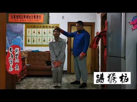 Squatting Monkey (蹲猴桩) teaching footage - Dai Family Xinyi Quan (戴家心意拳）#Kungfu #martialarts