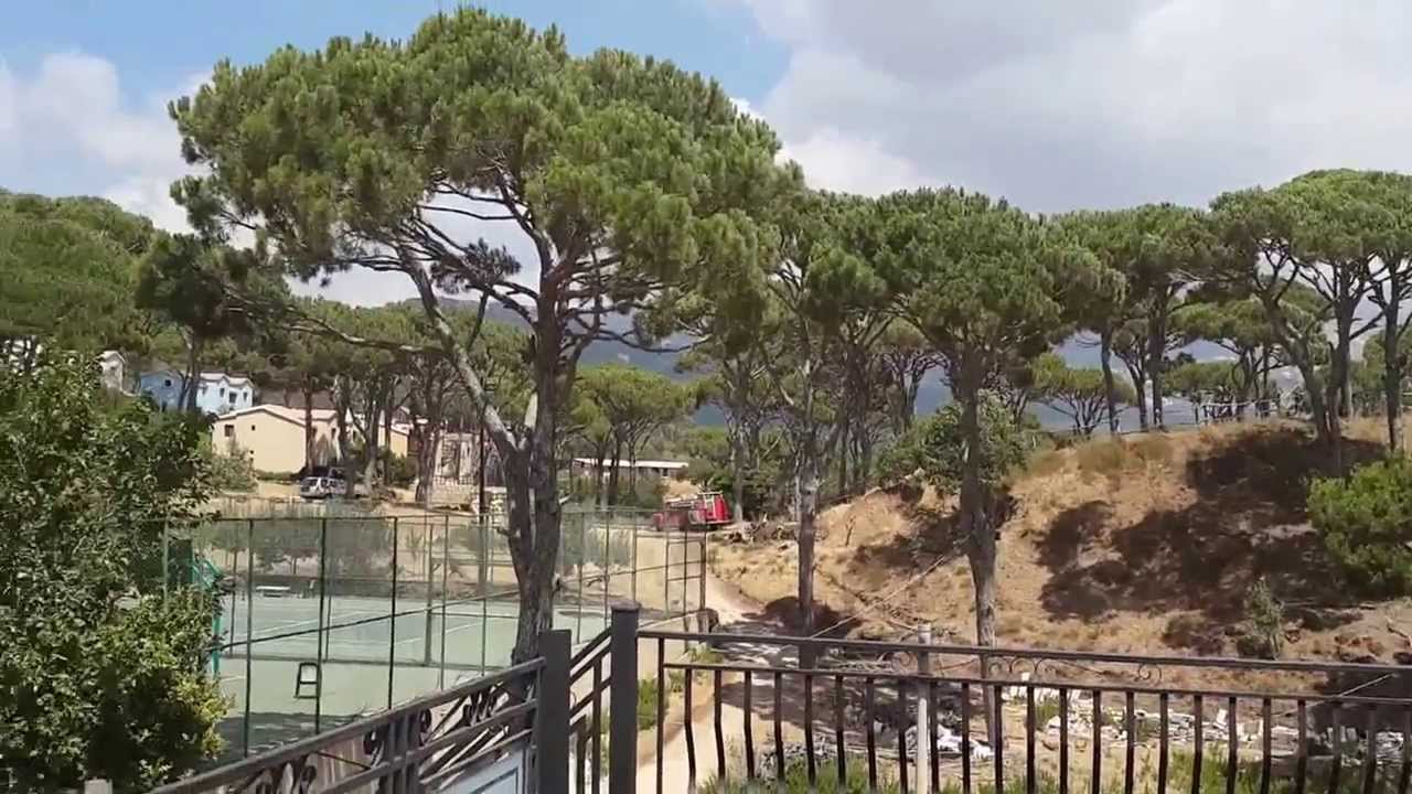 HOLIDAY IN LEBANON PINELAND - YouTube