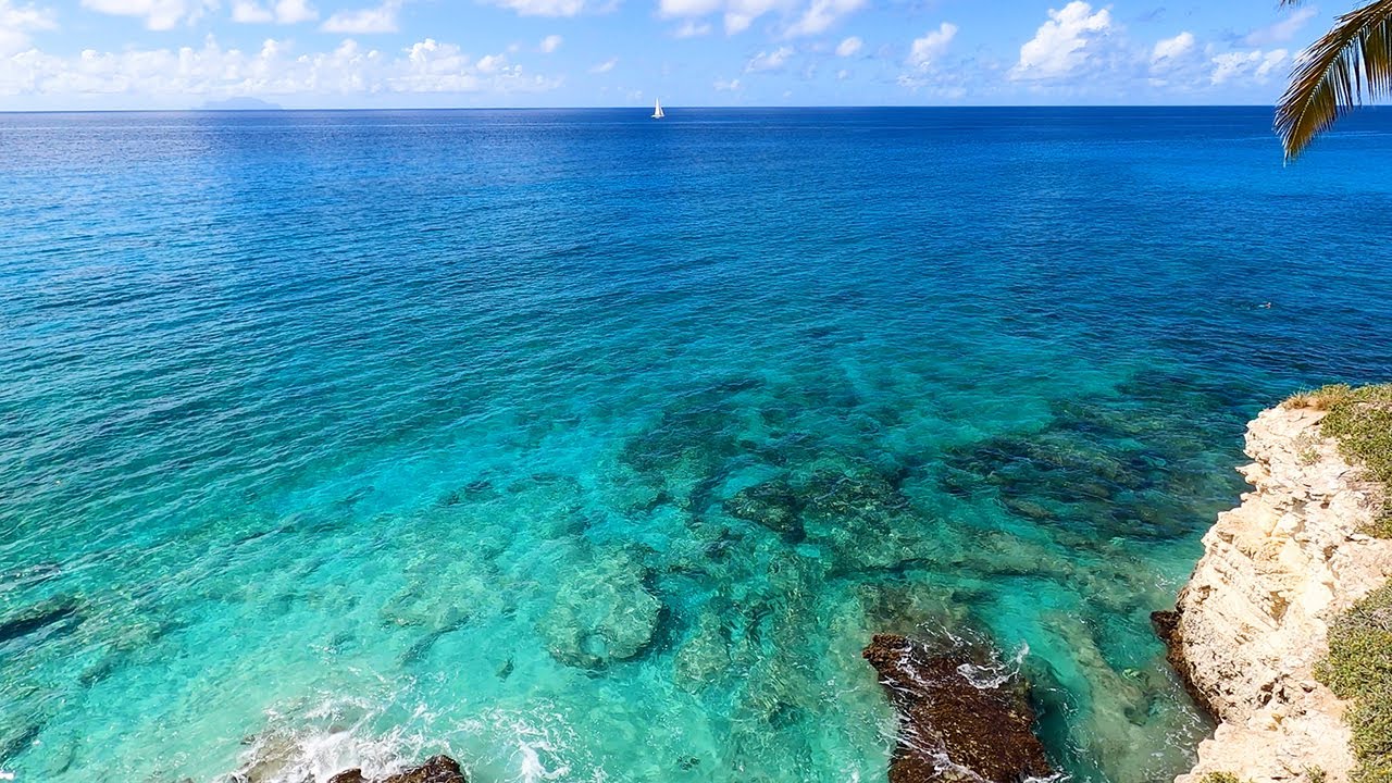 Tropical View: 6 Hours of Ocean Scenery and Soothing Sounds For ...