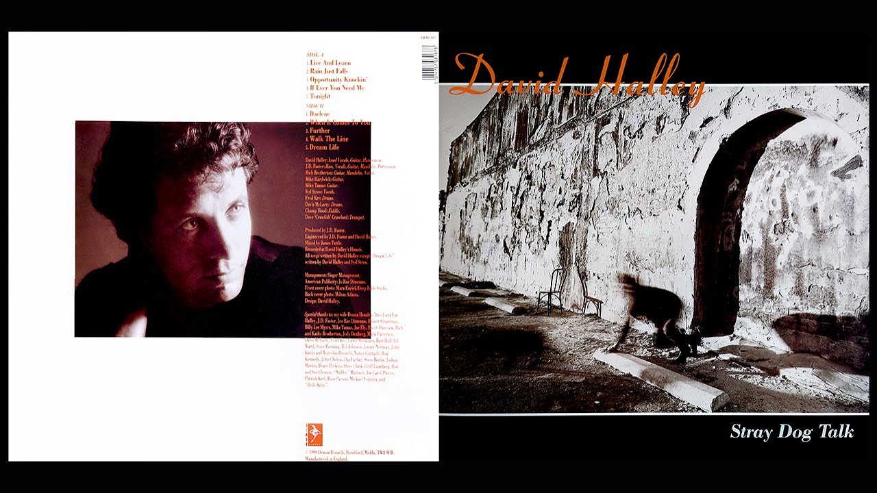 David Halley - Live And Learn - YouTube