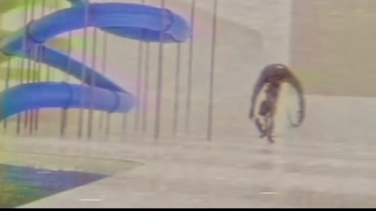 The Backrooms - Poolrooms (Found Footage) - YouTube