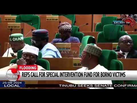 REPS CALL FOR SPECIAL INTERVENTION FUND FOR BORNO VICTIMS - YouTube