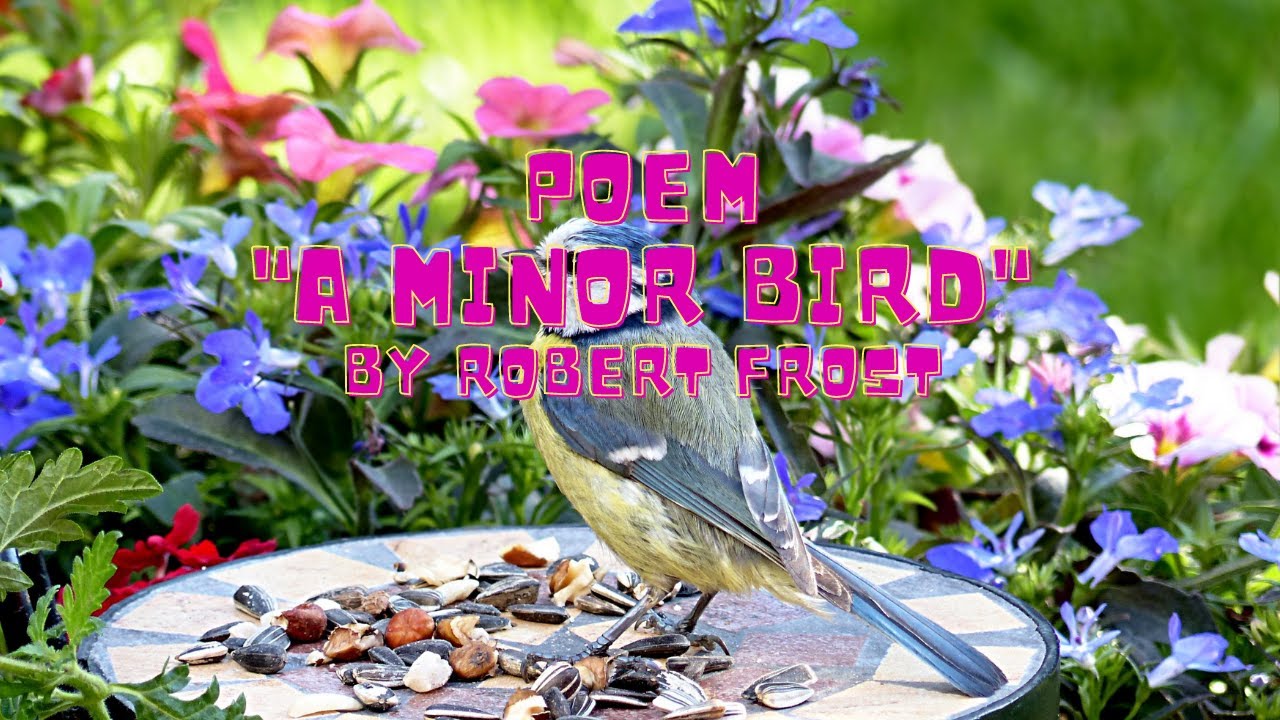 Poem by Robert Frost/A minor Bird/English poem/Bird Song/ robert frost ...