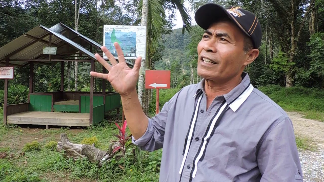 sejarah Hutan Nagari Lubuk Gadang selatan - YouTube