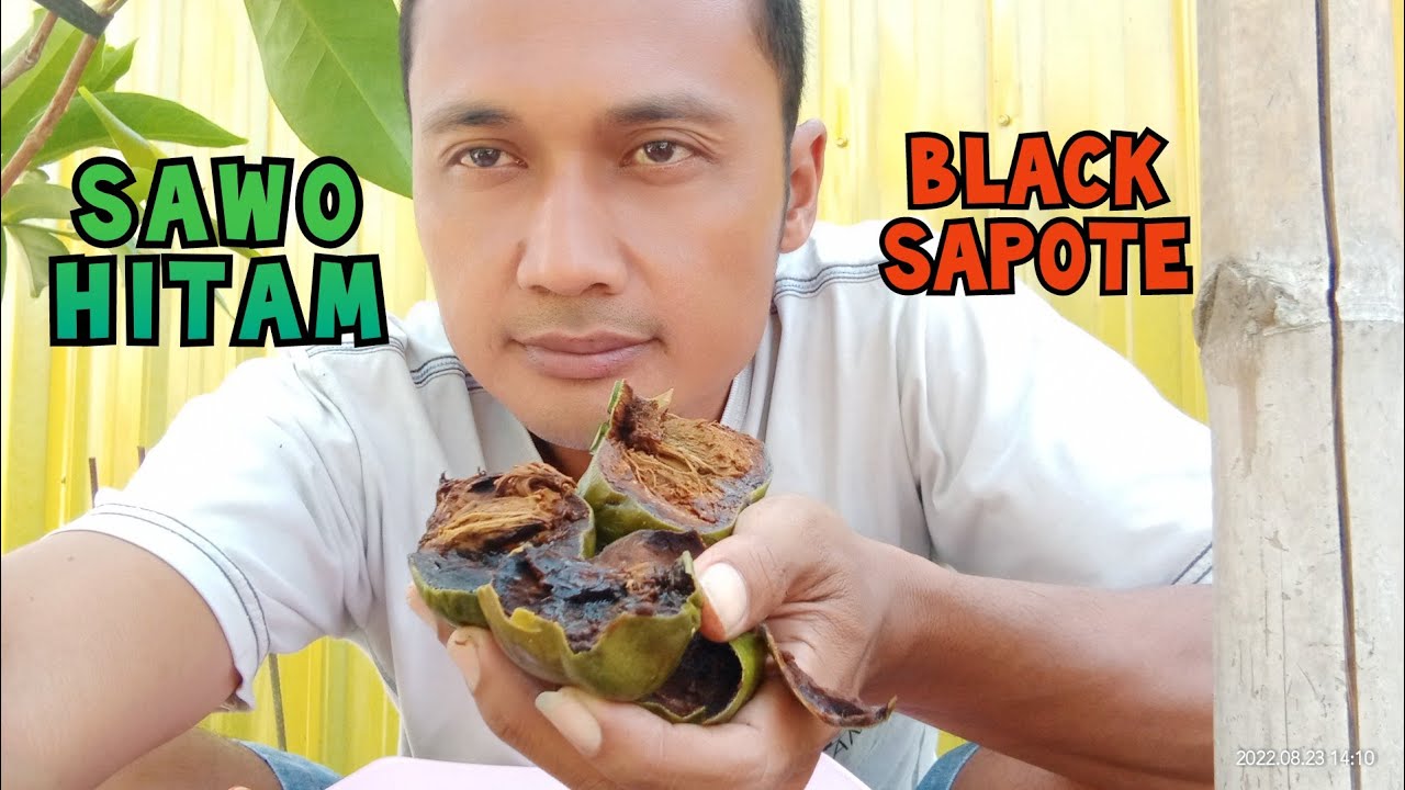 Unboxing Buah Black Sapote Lokal || sawo Hitam - YouTube