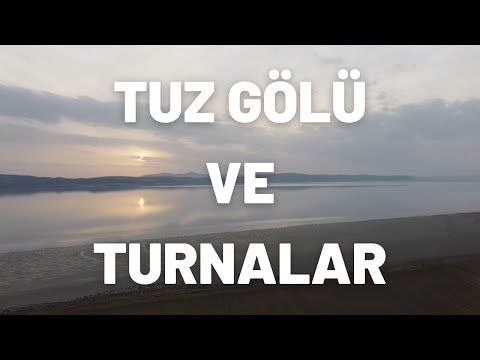 TUZ GÖLÜ'NDEN GÜN DOĞUMU VE TURNALAR