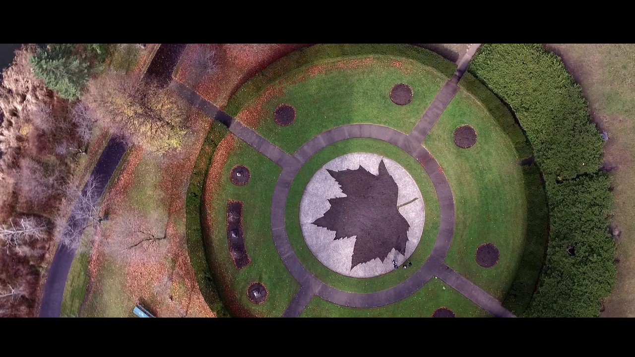 Peter Higginson Demo Reel - YouTube