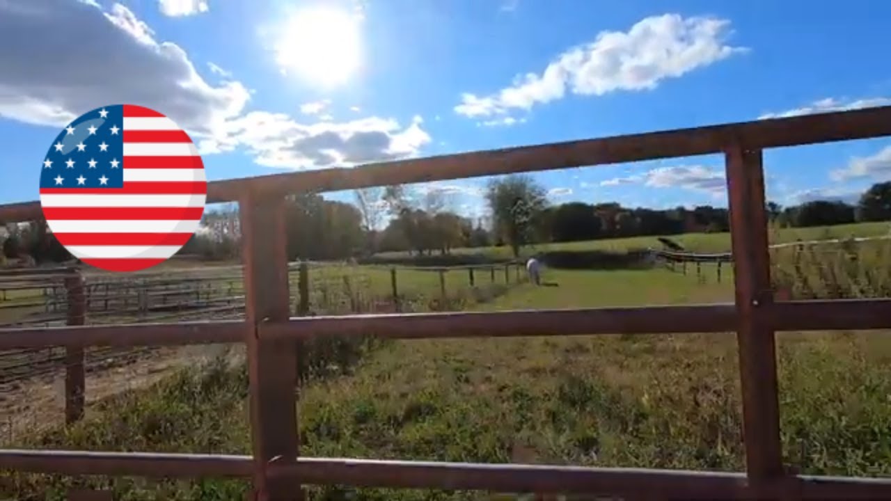 INTRO TO THE HOBBY FARM HOMESTEAD #HOBBYFARMING - YouTube