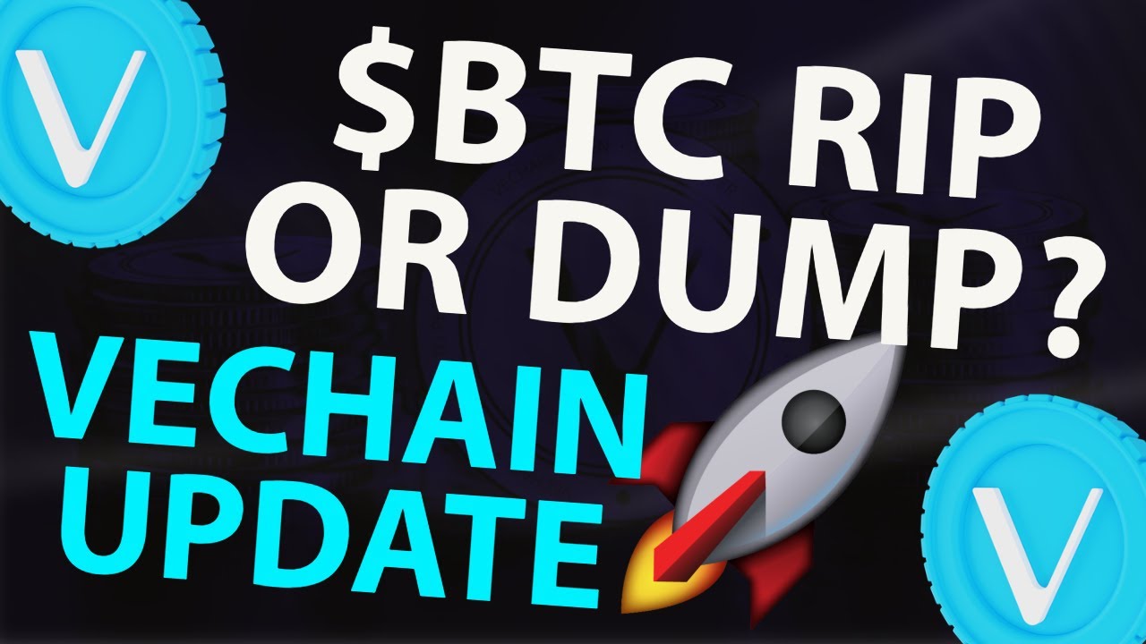 #VECHAIN $BTC RIP OR DUMP? | VECHAIN PRICE UPDATE | $VET PRICE PREDICTION | VET ANALYSIS - YouTube