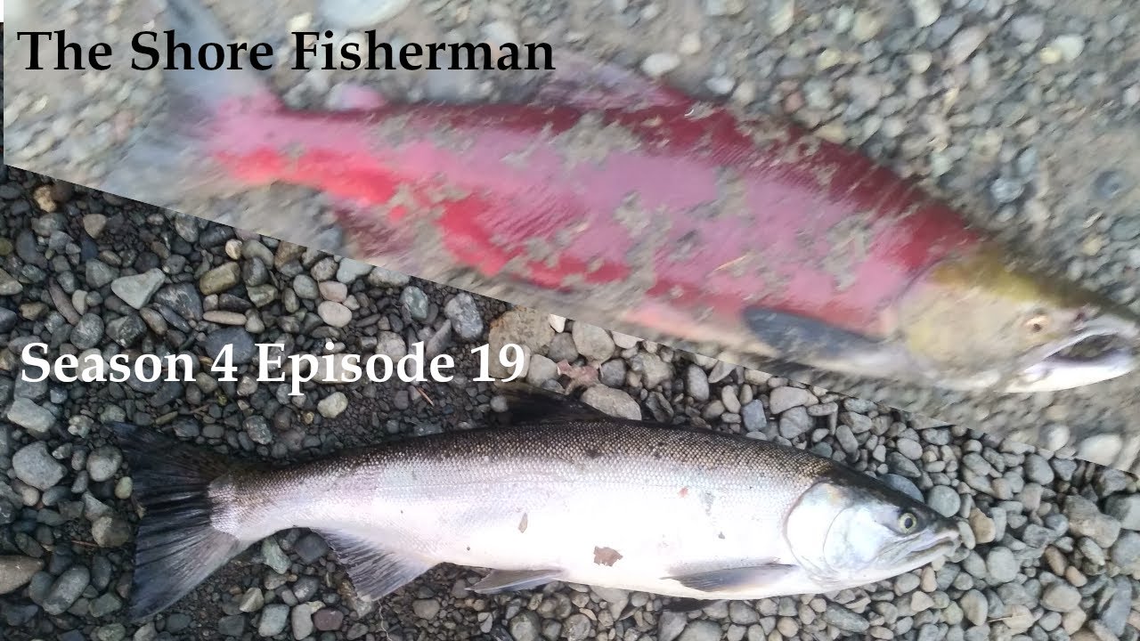 The Shore Fisherman Season 4 Episode 19 - YouTube