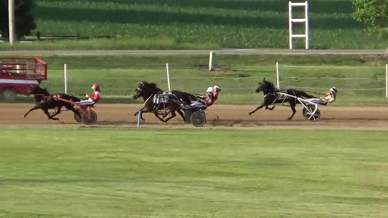 Nappanee Raceway 6-2-18 Hilltop Nite Rage wins in 1:03.2 - YouTube