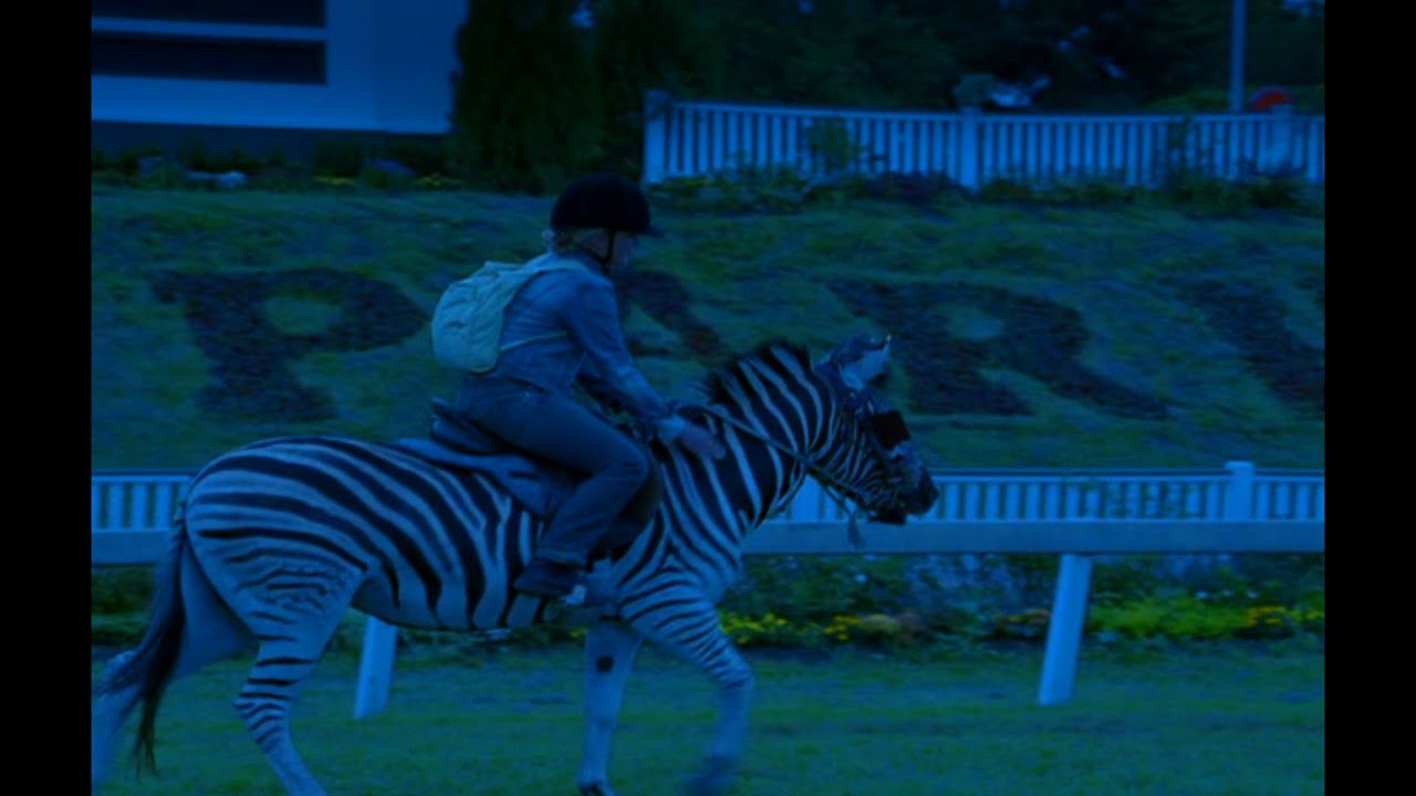 Racing Stripes - racing in the dark - YouTube