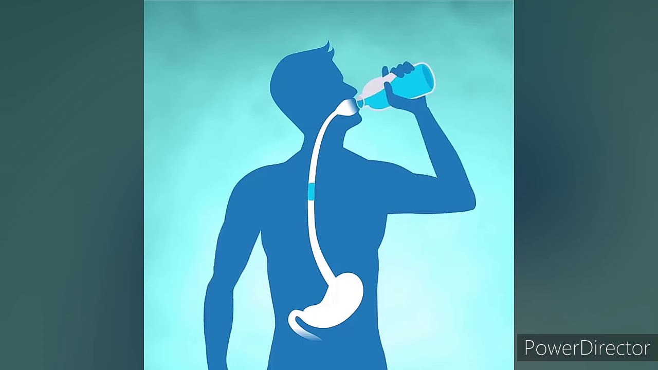 epi18 IMPORTANT DRINKing WATER Benefits YouTube epi18-important-drinking-water-benefits-youtube