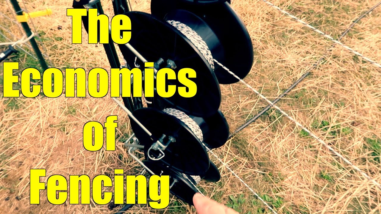 The Economics of Fencing - YouTube
