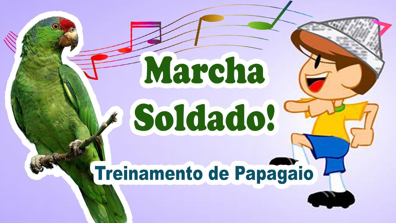 marcha soldado para treinar papagaio - canto para treinar papagaio ...