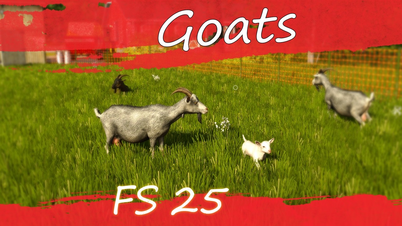 Farming Simulator 25: Goats! How to take care of them? - YouTube