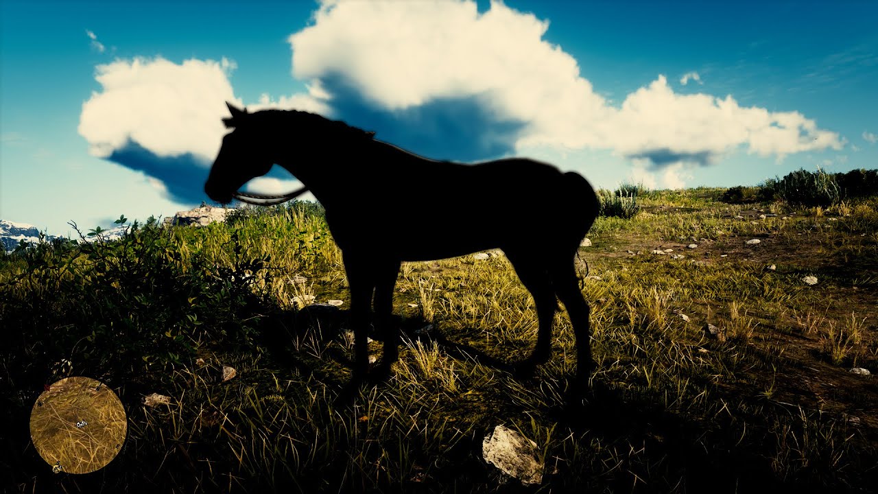 The Most Beautiful Silver Horse You Can Find - YouTube